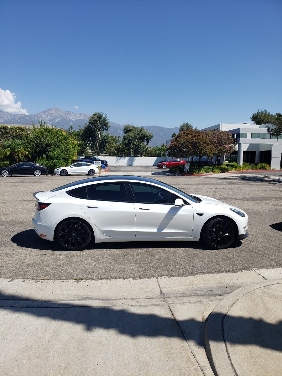 2020 Tesla Model 3 Standard Range Plus RWD - Find My Electric