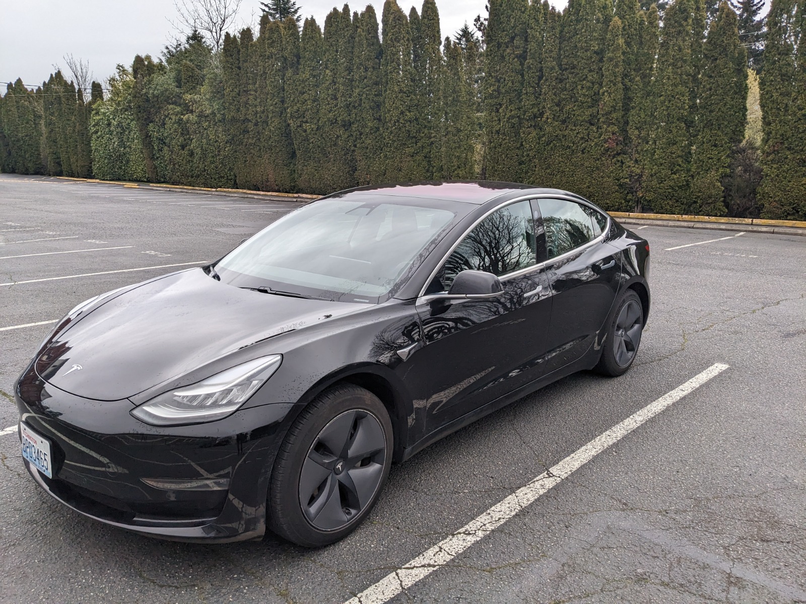 2019 Tesla Model 3 Standard Range Plus RWD - Find My Electric