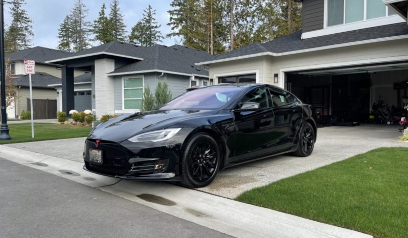 Tesla Colors – Model S, 3, X, Y – The Ultimate Guide