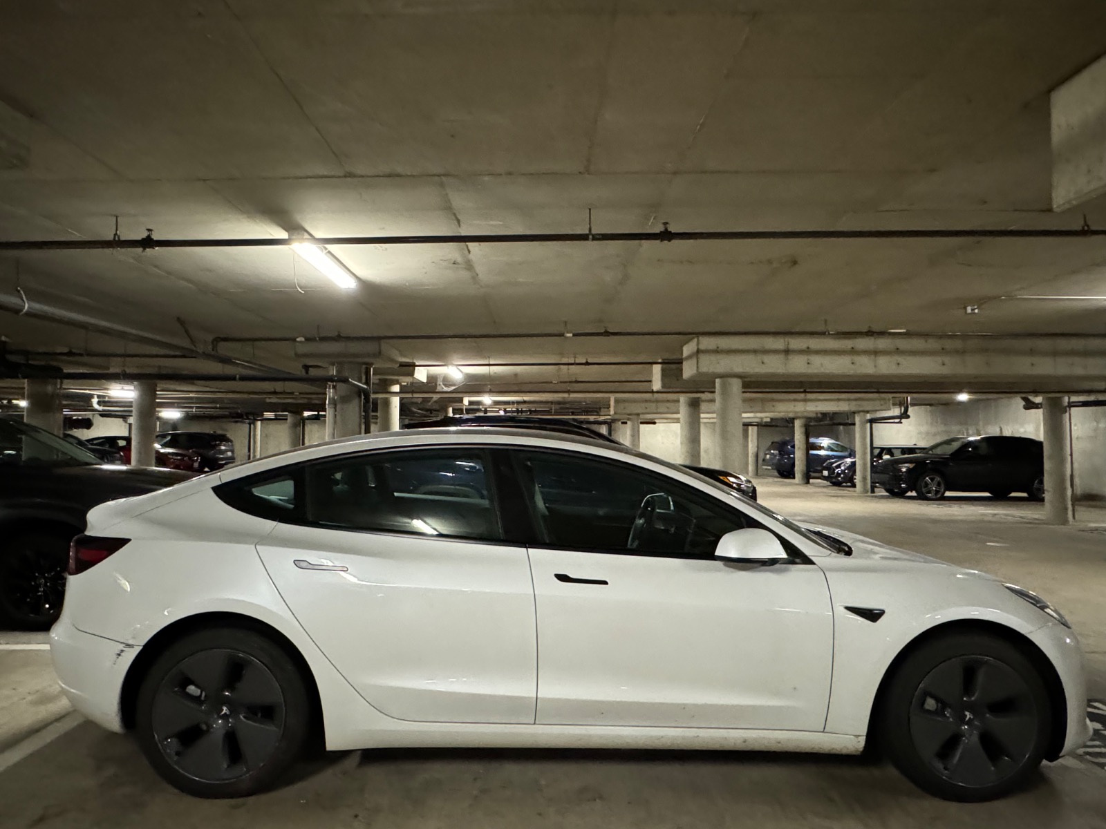 2023 Tesla Model 3 Standard Range RWD - Find My Electric