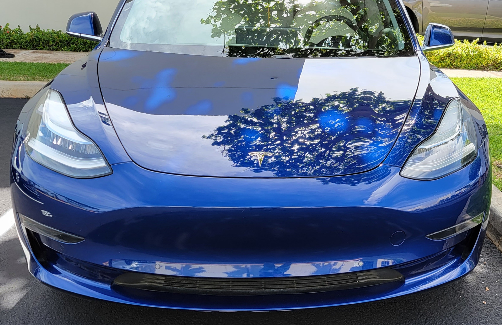 2020 Tesla Model 3 Standard Range Plus RWD - Find My Electric