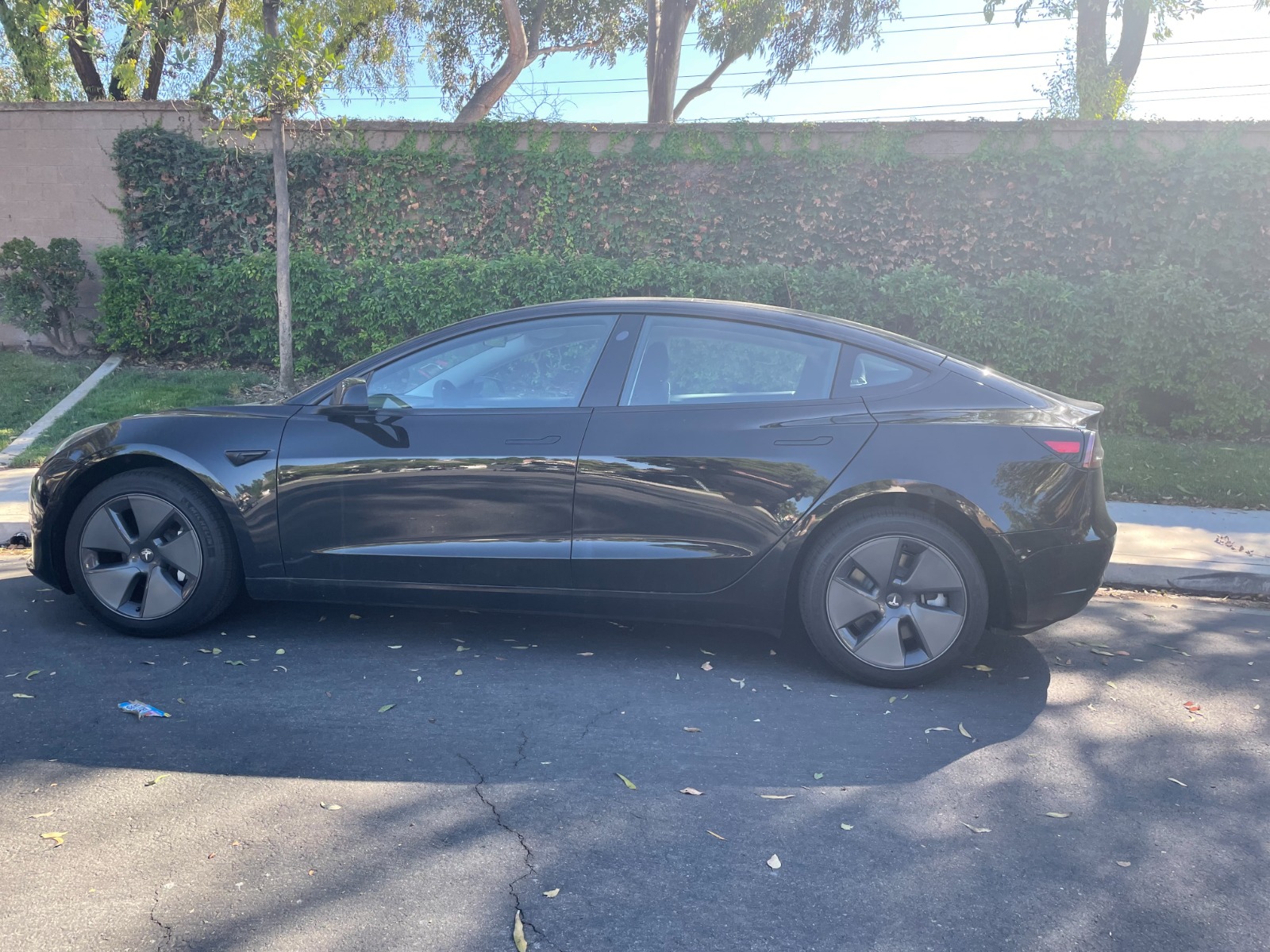 2022 Tesla Model 3 Standard Range Plus RWD - Find My Electric