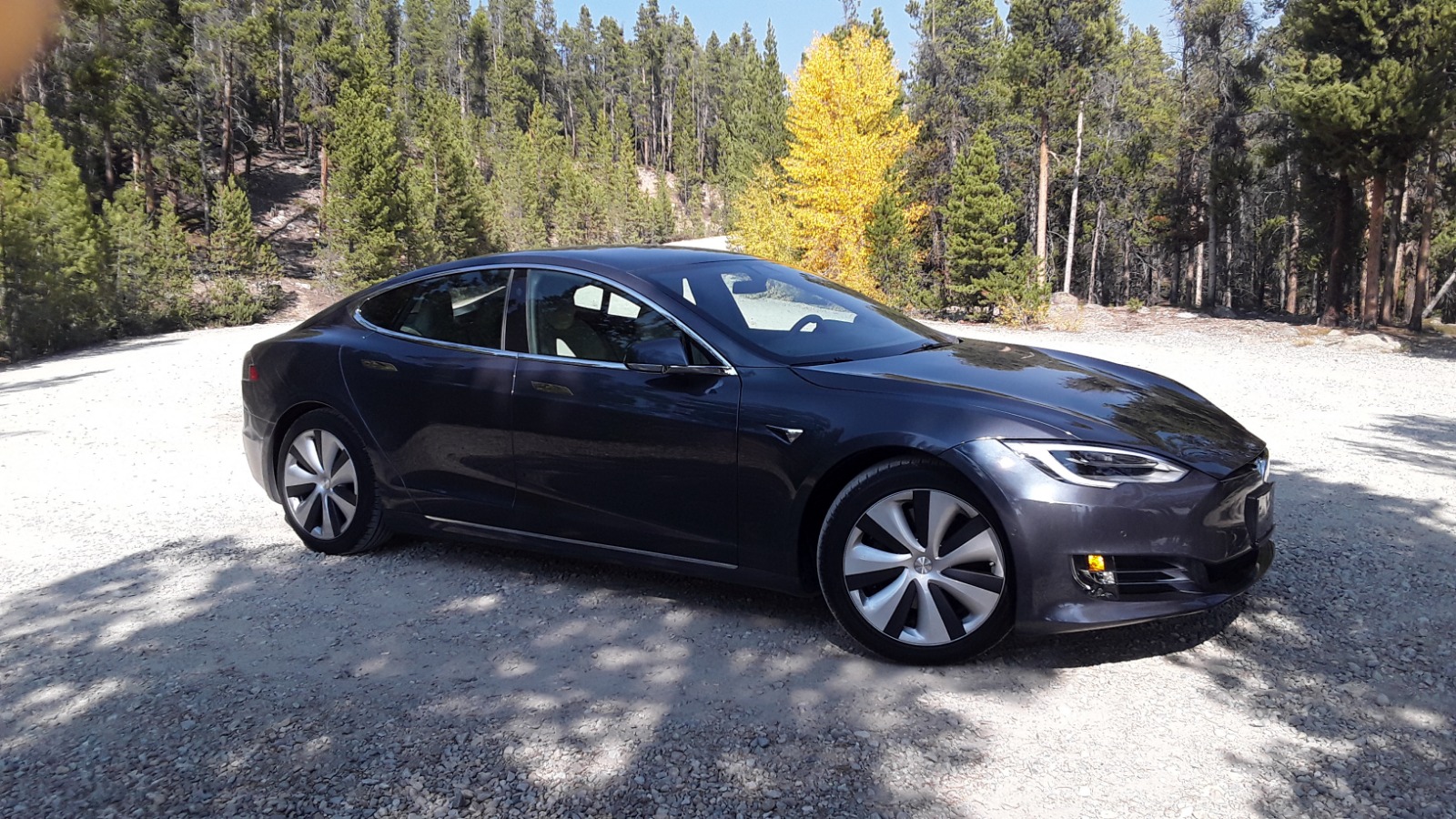 2020 Tesla Model S Long Range Plus AWD - Find My Electric