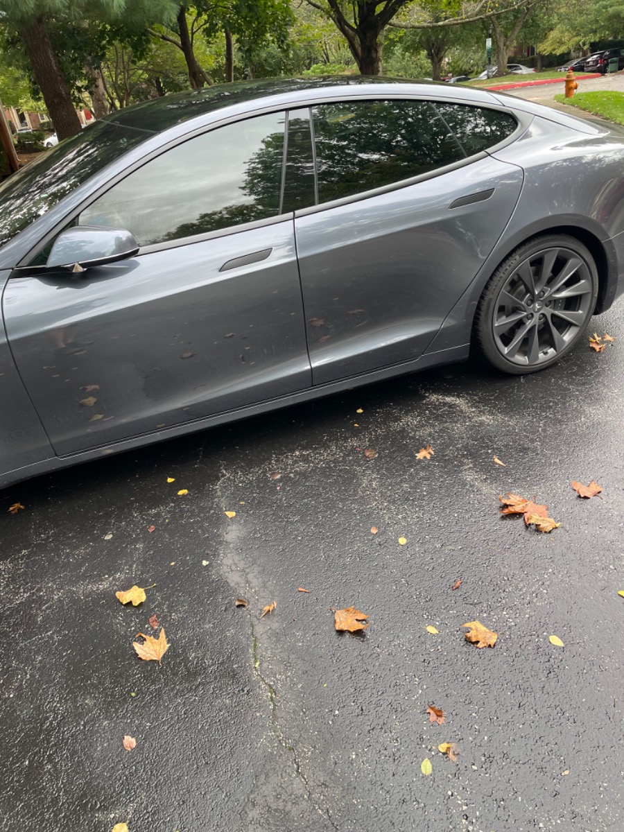 2020 Tesla Model S Long Range Plus AWD - Find My Electric